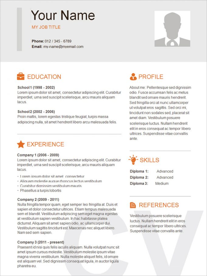 Important Points in a Basic Resume Template - wikiresume.com