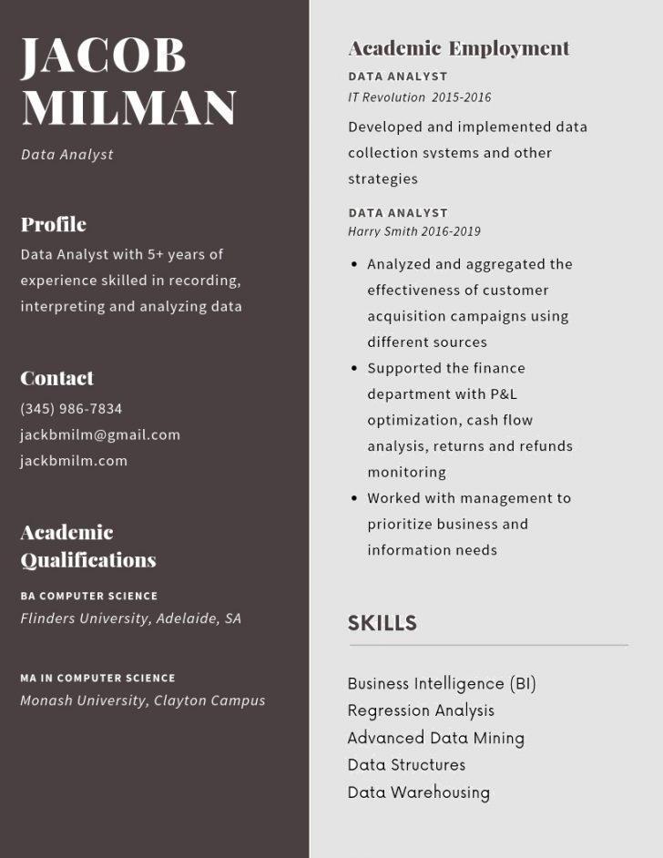 Data Analyst Resume - wikiresume.com