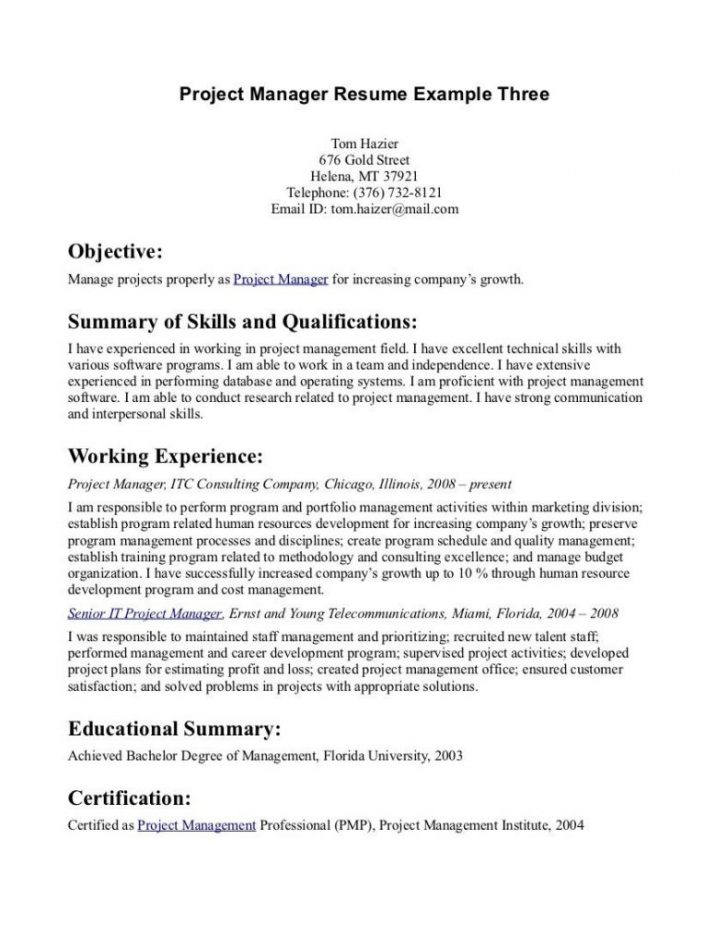 Examples Of Objectives For Resumes - wikiresume.com