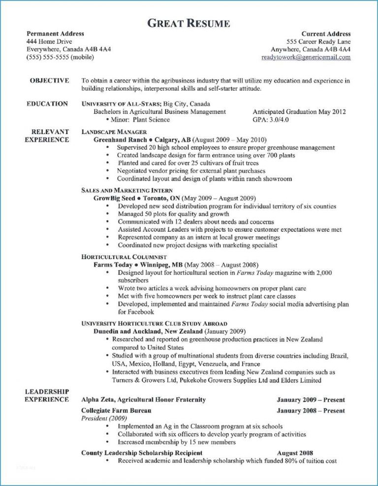 The Great Resume Examples Format You Must Know - wikiresume.com