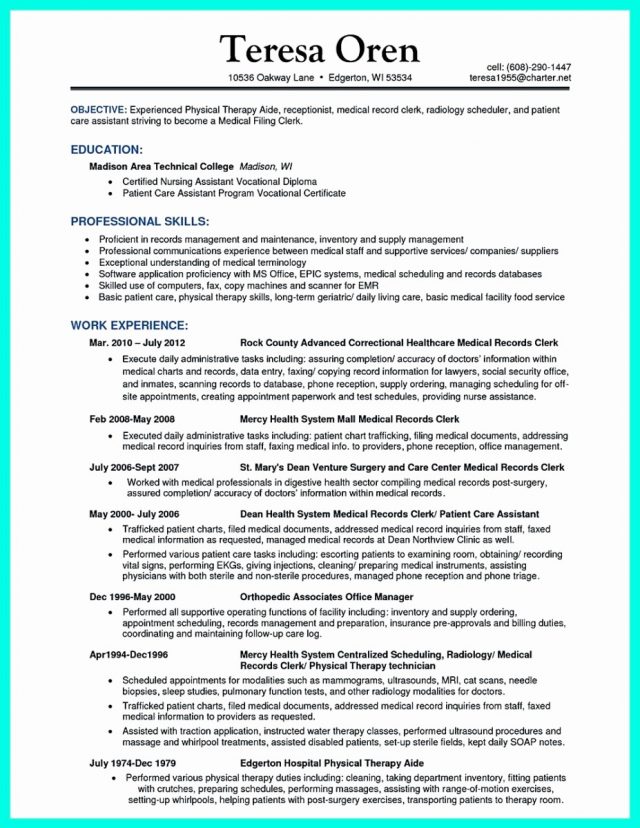 The Great Resume Examples Format You Must Know - wikiresume.com