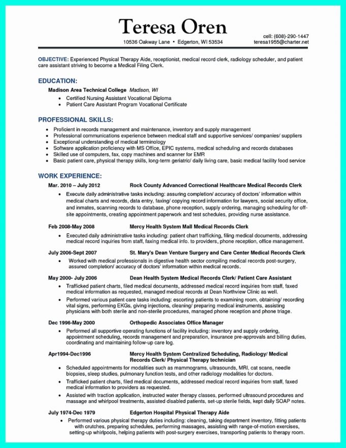 The Great Resume Examples Format You Must Know - wikiresume.com