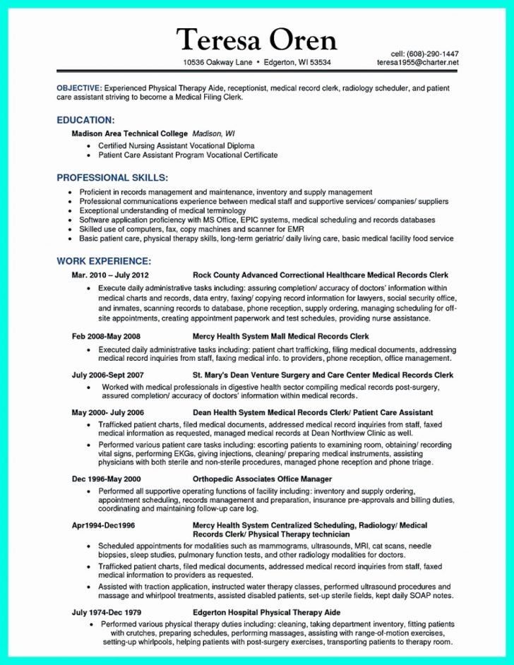 The Great Resume Examples Format You Must Know - wikiresume.com