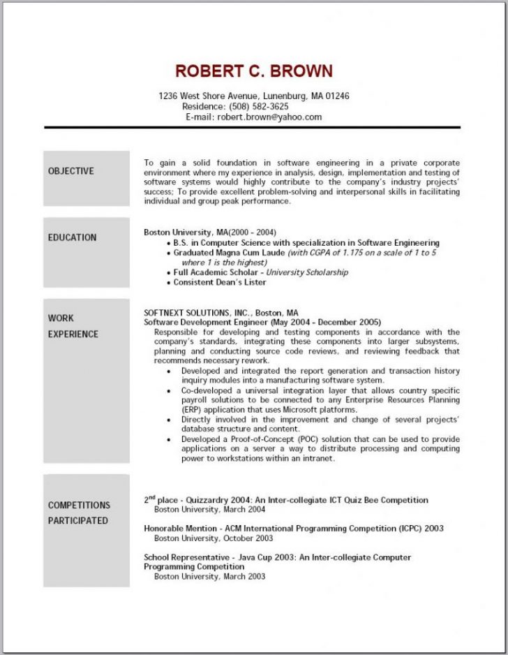 3 Objective Resume Ideas to Attract the Employer - wikiresume.com