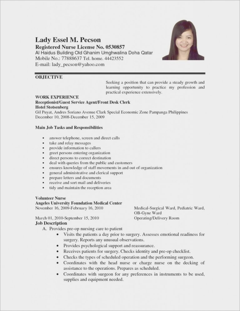 Things to Consider in Making a Perfect Resume Example - wikiresume.com