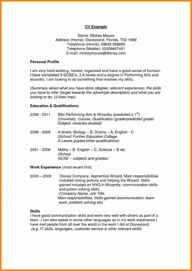 Professional Profile Resume Example Example Profile Resume Examples New ...
