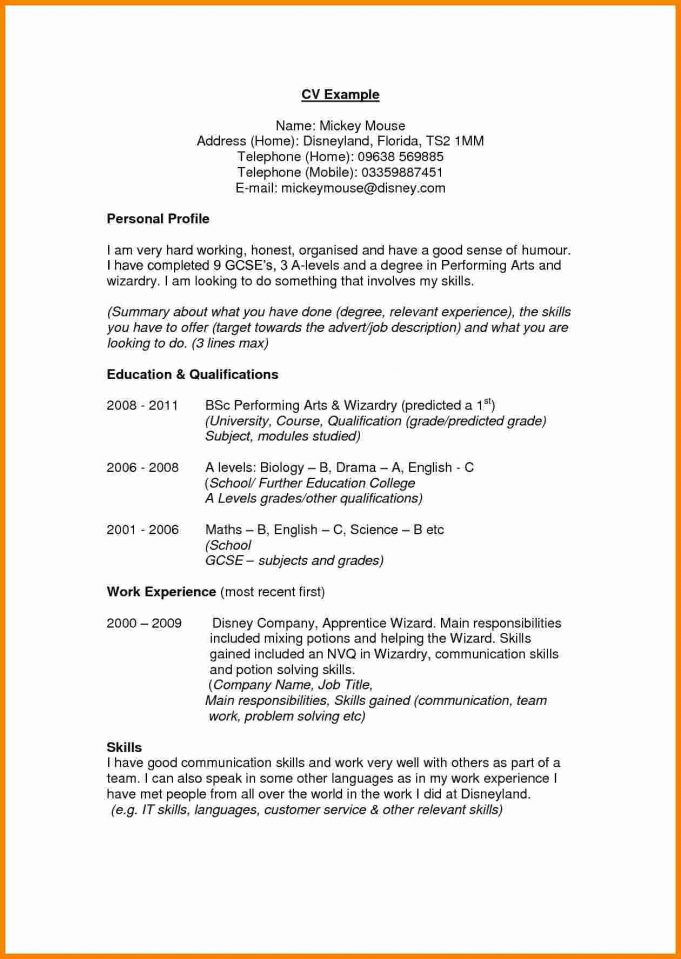 Professional Profile Resume Example Example Profile Resume Examples New ...