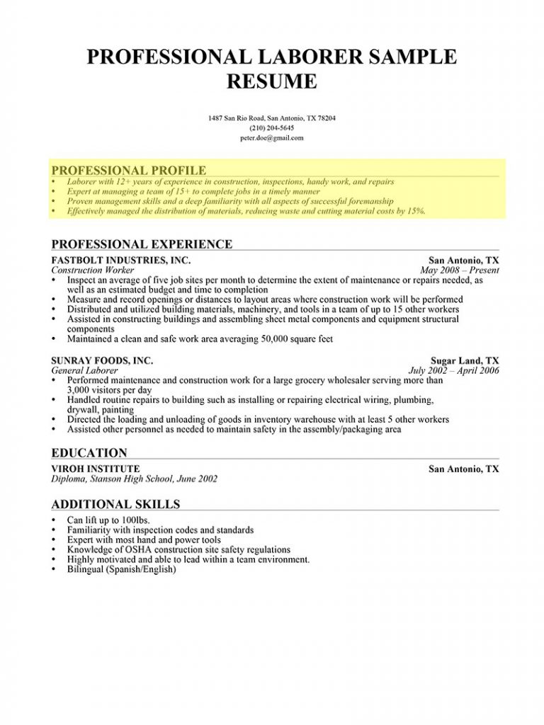 Professional Profile Resume Example to Apply - wikiresume.com