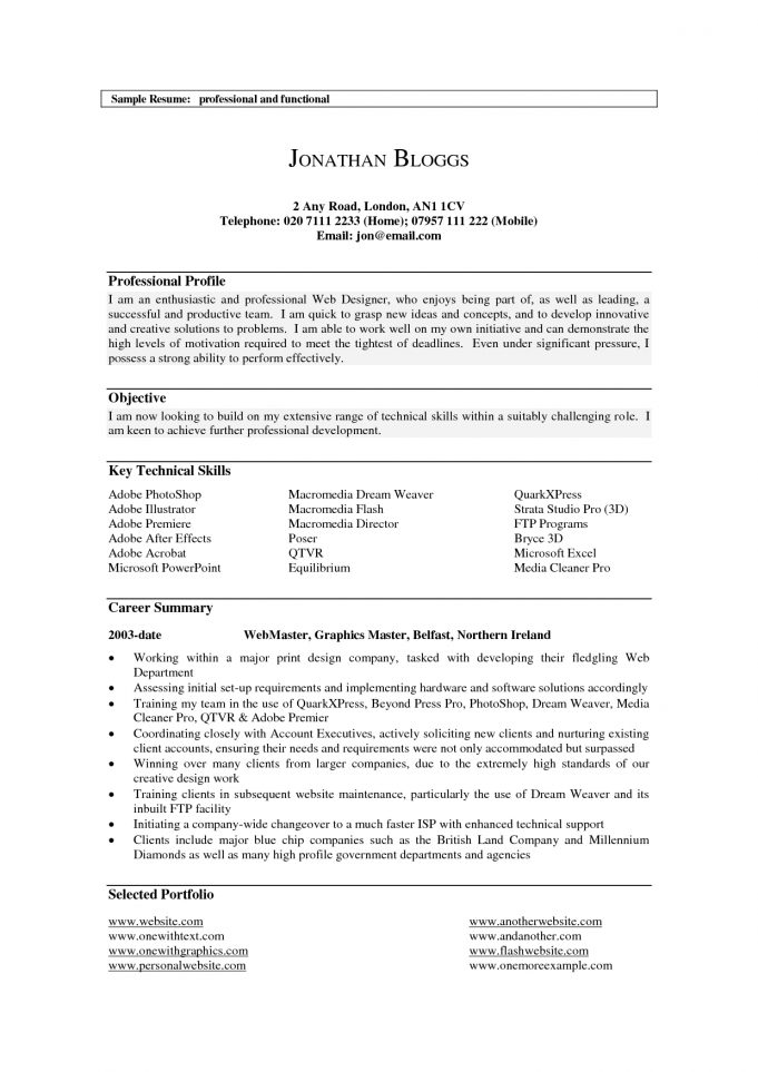 Professional Profile Resume Example to Apply - wikiresume.com