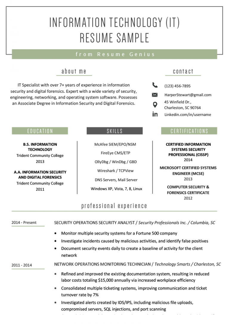 Professional Resume Examples - wikiresume.com
