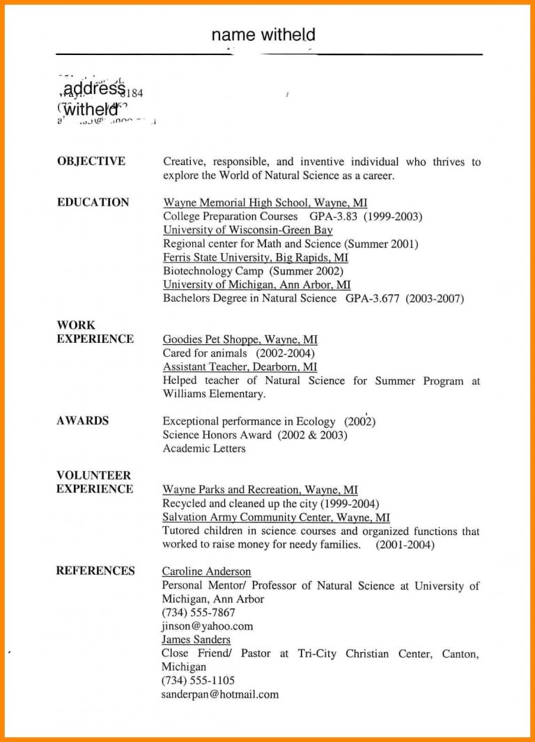 Resume Objective Example - wikiresume.com