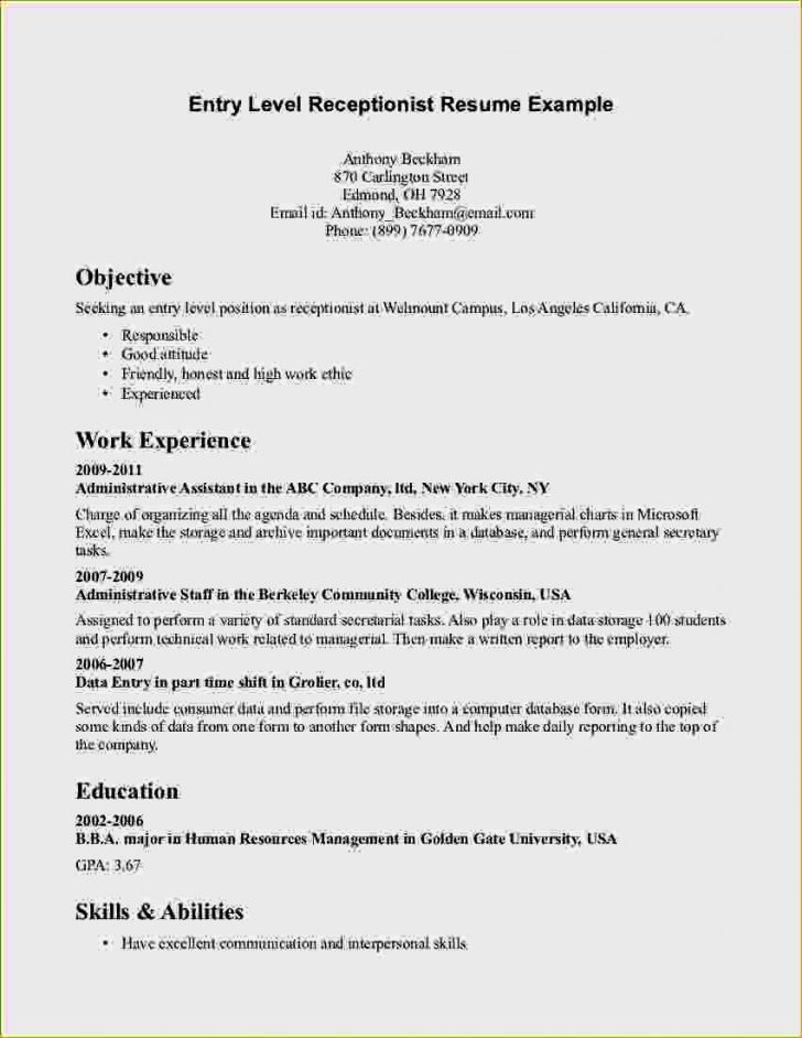 Resume Objective Example - wikiresume.com