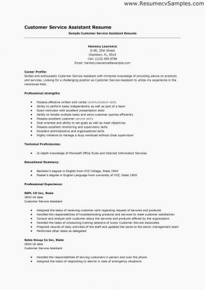 Resume Skills Examples Customer Service Resume Resume Skills Examples ...