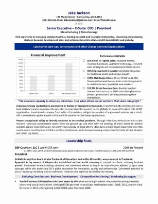 A Guidance to Write a Good Resume Summary Statement - wikiresume.com